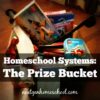 Our Homeschool Systems: The Prize Bucket - NextGen Homeschool