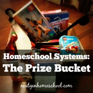 Our Homeschool Systems: The Prize Bucket - NextGen Homeschool