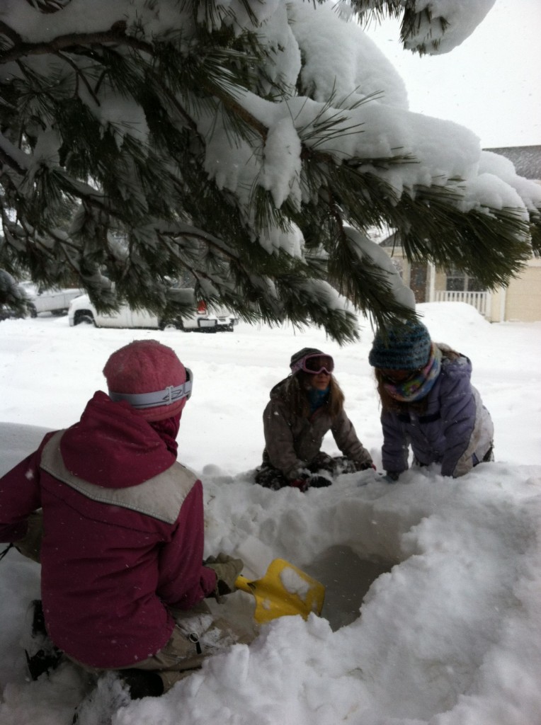 The Gotcher Family's Homeschool "Day in the Life" - NextGen Homeschool